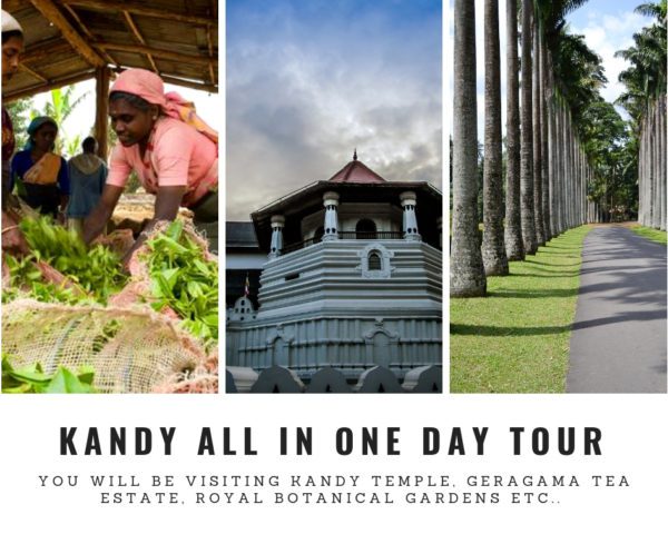 Kandy All in One Day Tour from Colombo » Merganser Holidays